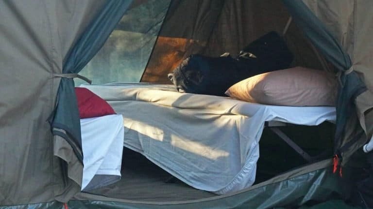 Best Camping Bed For Bad Backs
